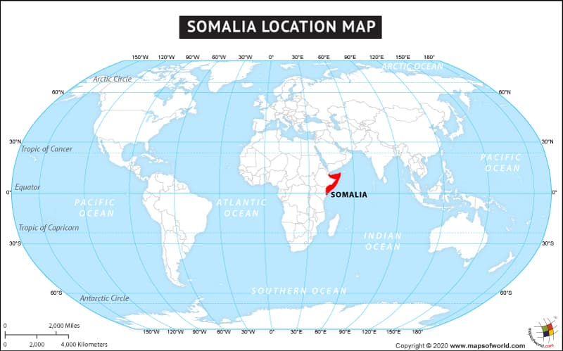 What is the average IQ score in Somalia? And Federal Member State-wise ...