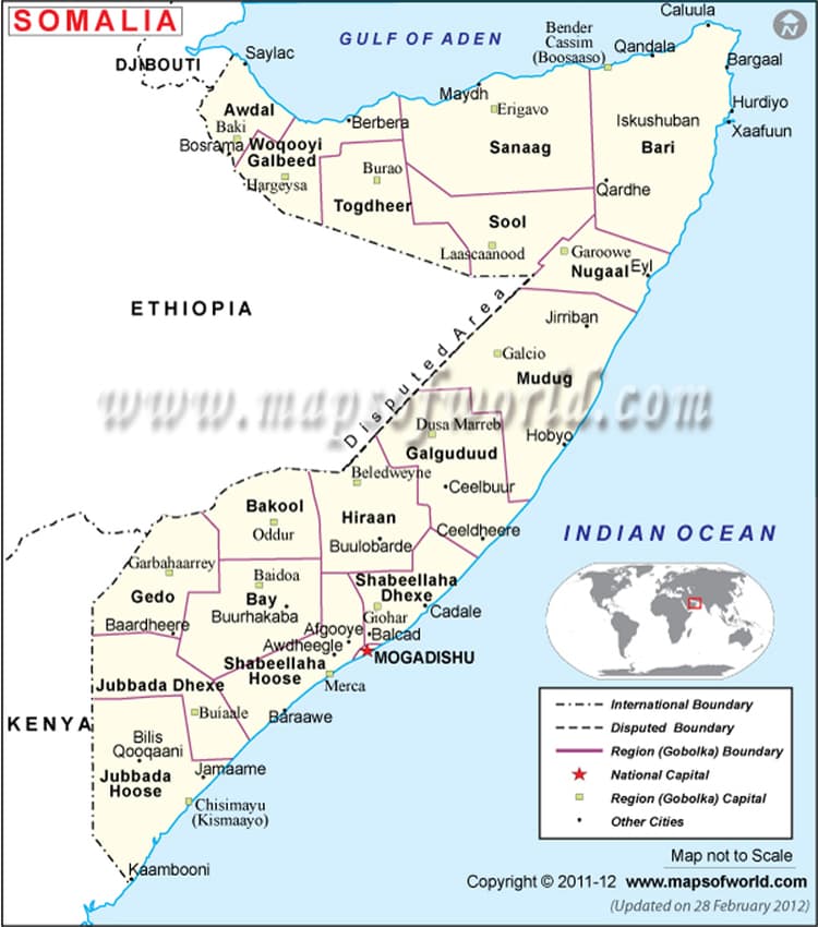 What is the average IQ score in Somalia? And Federal Member State-wise ...